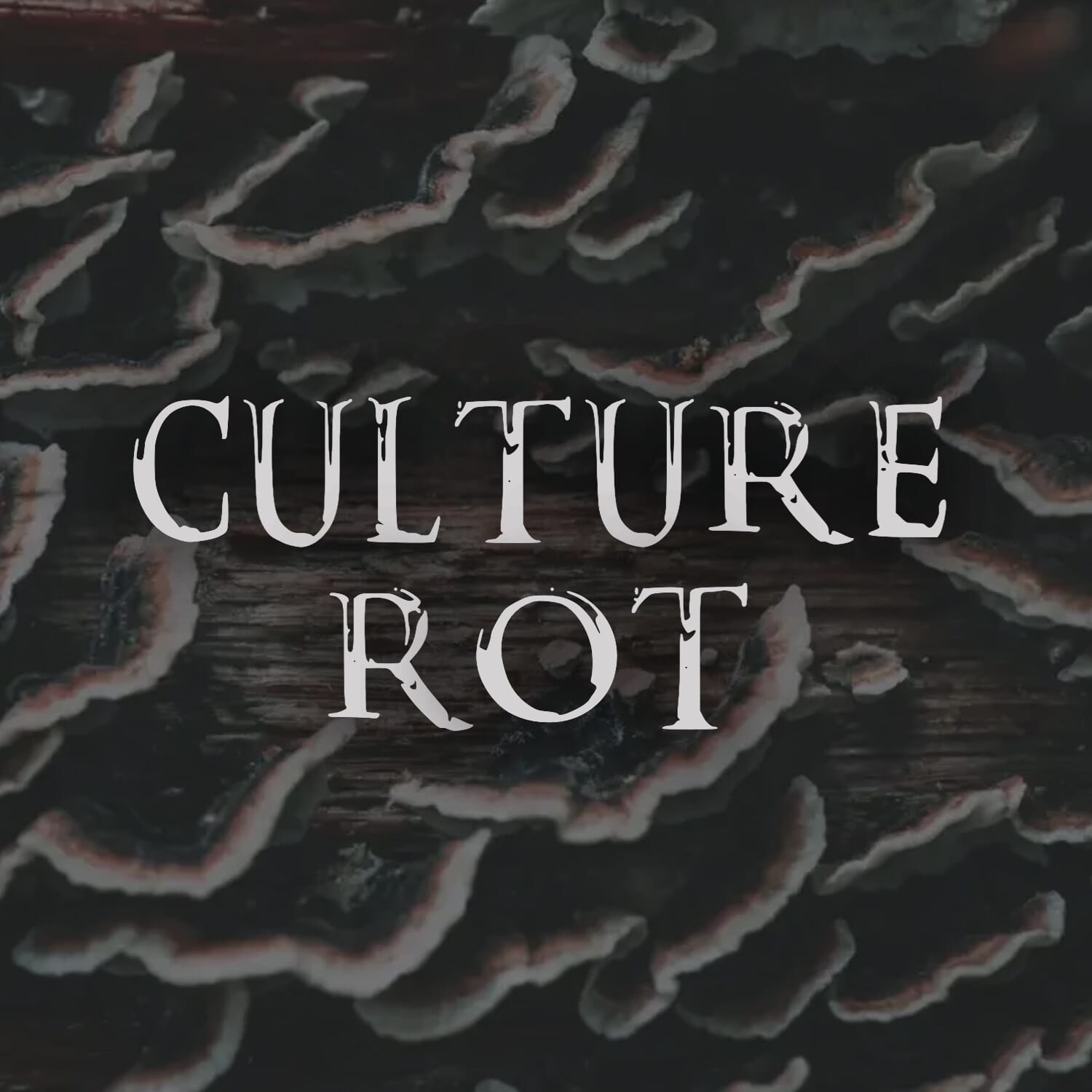 Culture Rot